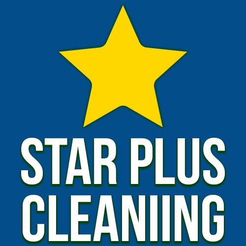 Star Plus Logo